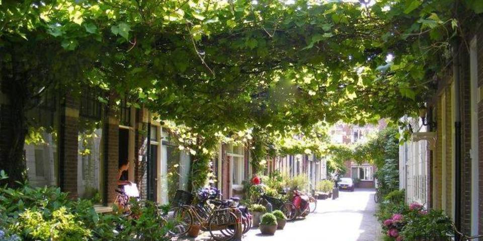 Vraag een groenslinger aan en help mee je district te vergroenen ...