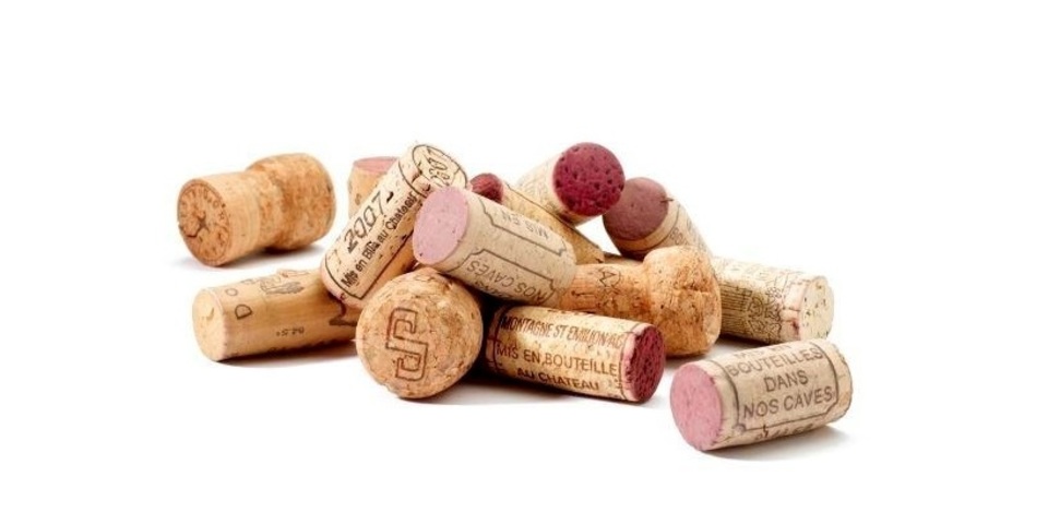 Kurk | Welkom | Antwerpen.be | Info | Antwerpen.be