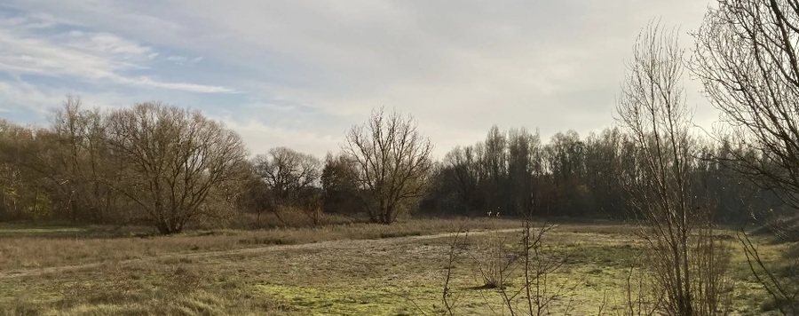 De Zouten | Antwerpen