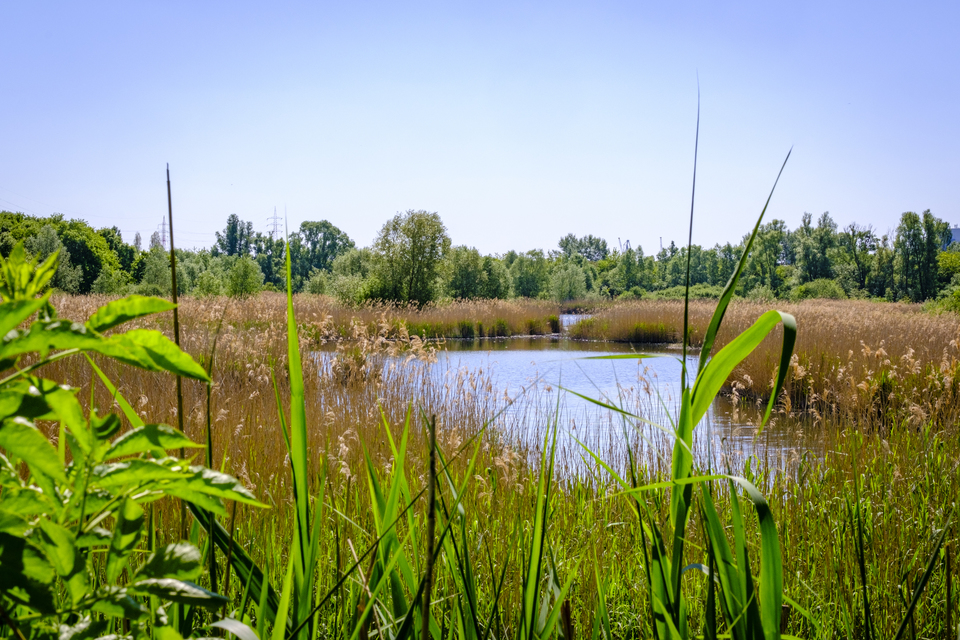 Op verkenning door het groene Ekeren | Typisch Ekeren | District Ekeren ...