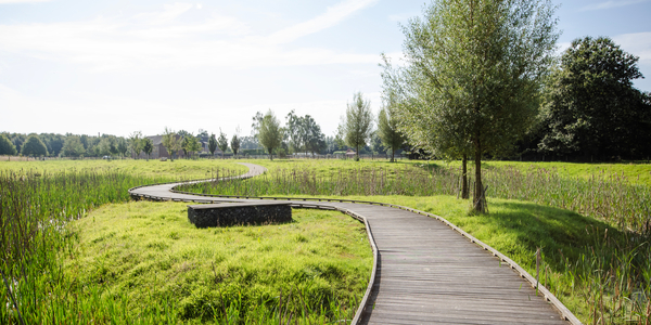 Nieuws | District Borsbeek | Overzicht | Antwerpen.be