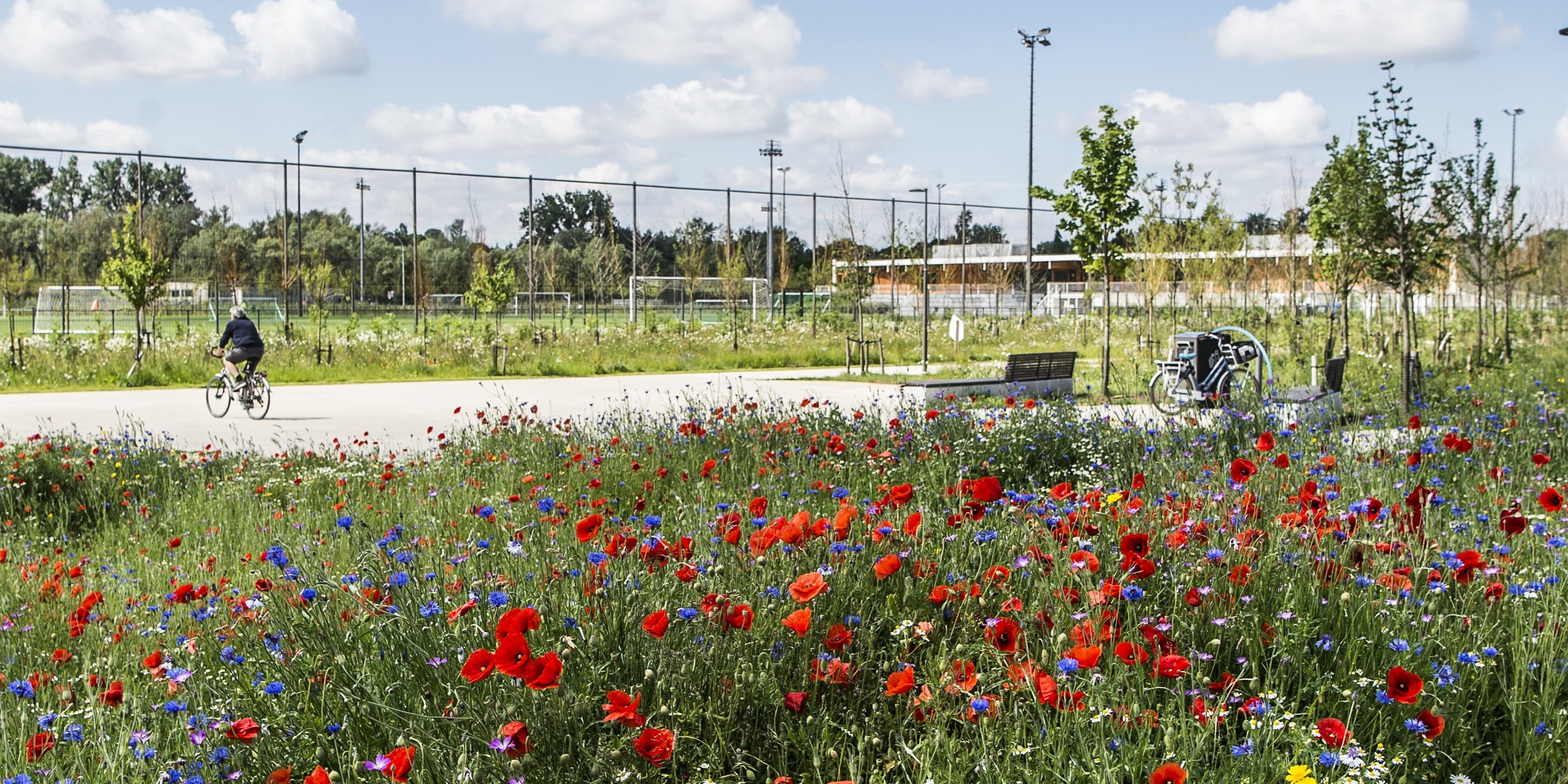 Download het stratenplan van district Deurne | Antwerpen